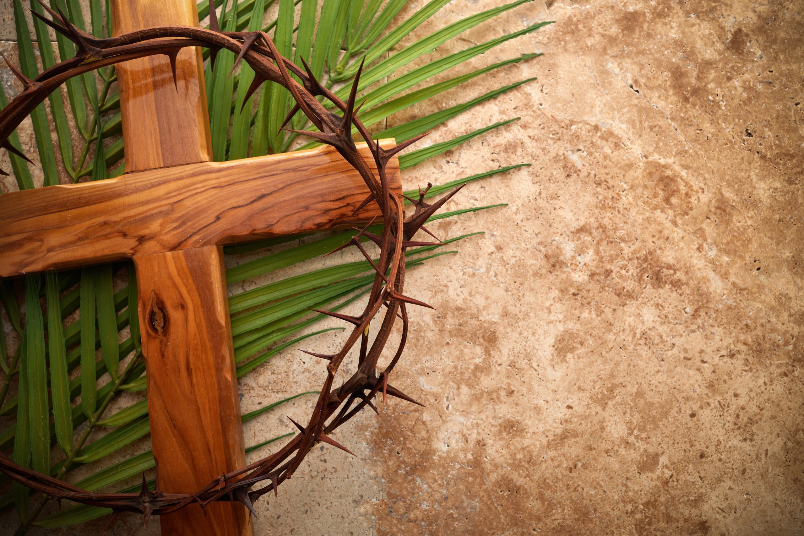 The Gospel Of John – Jesus’ Last Week – Palm Sunday, Again, the ...