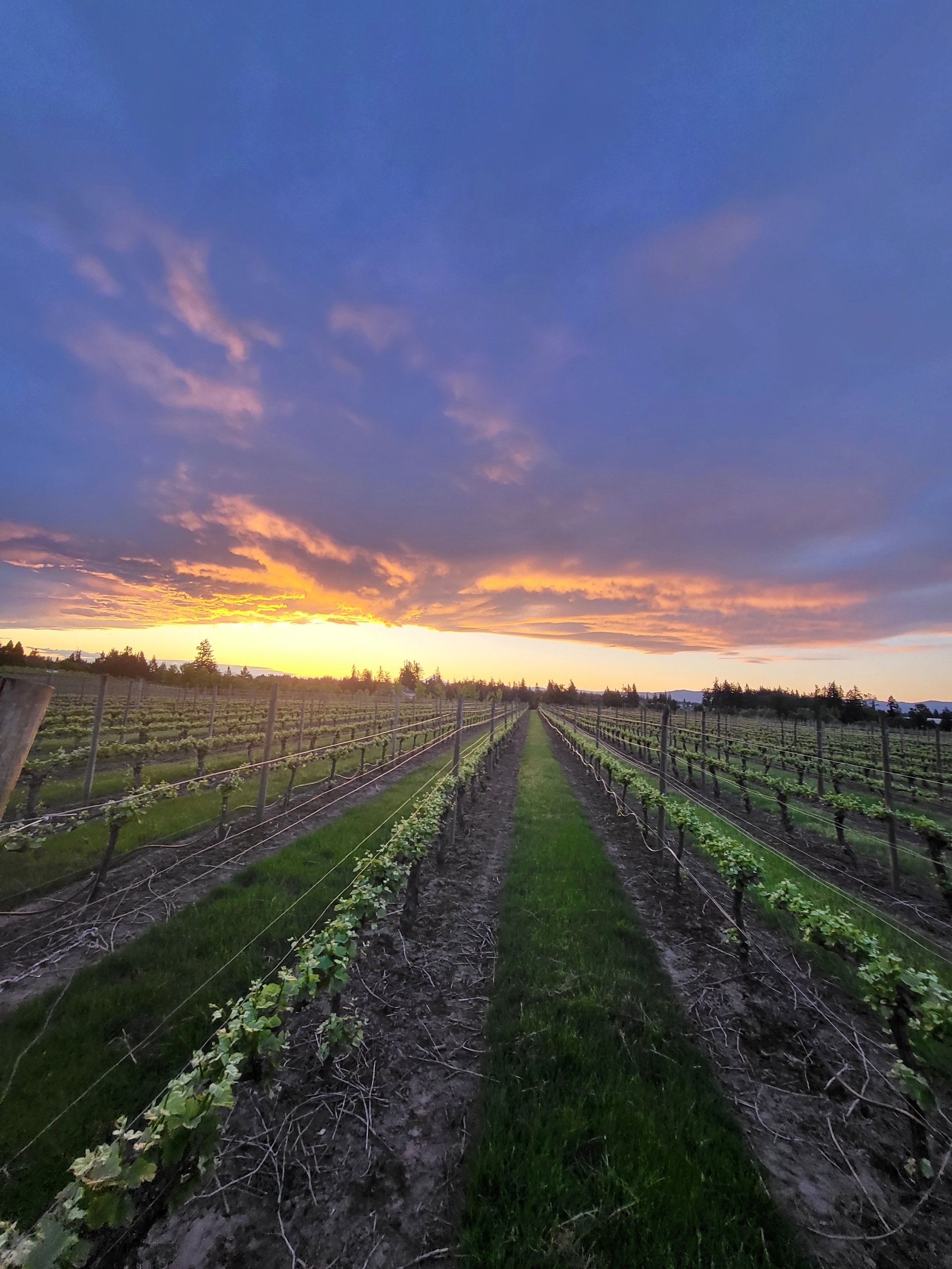 The Gospel Of John – Jesus’ Last Hours – The Last Supper – Lessons from ...